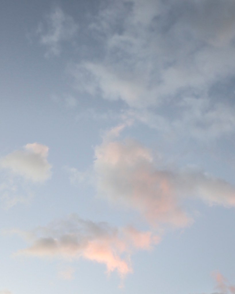 Moonan – louisefaulknerphotography